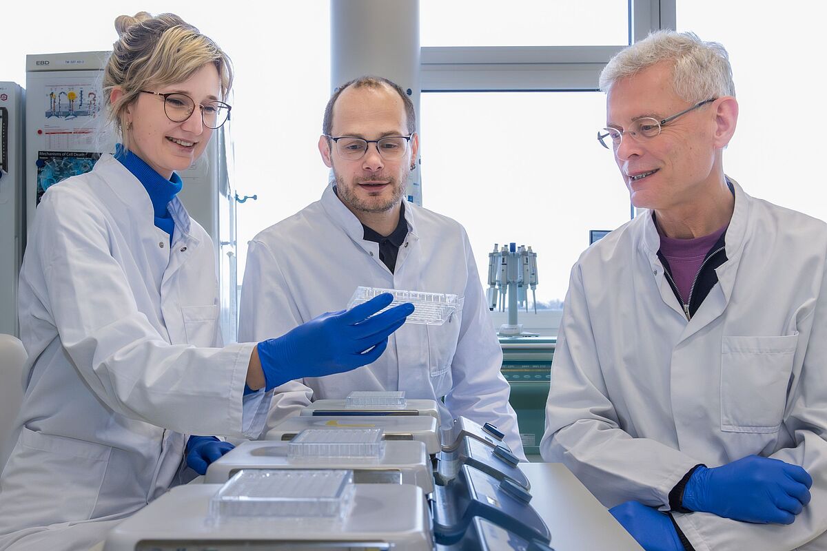 Europäische Spitzenförderung in Höhe von 2,5 Millionen Euro für ein ...