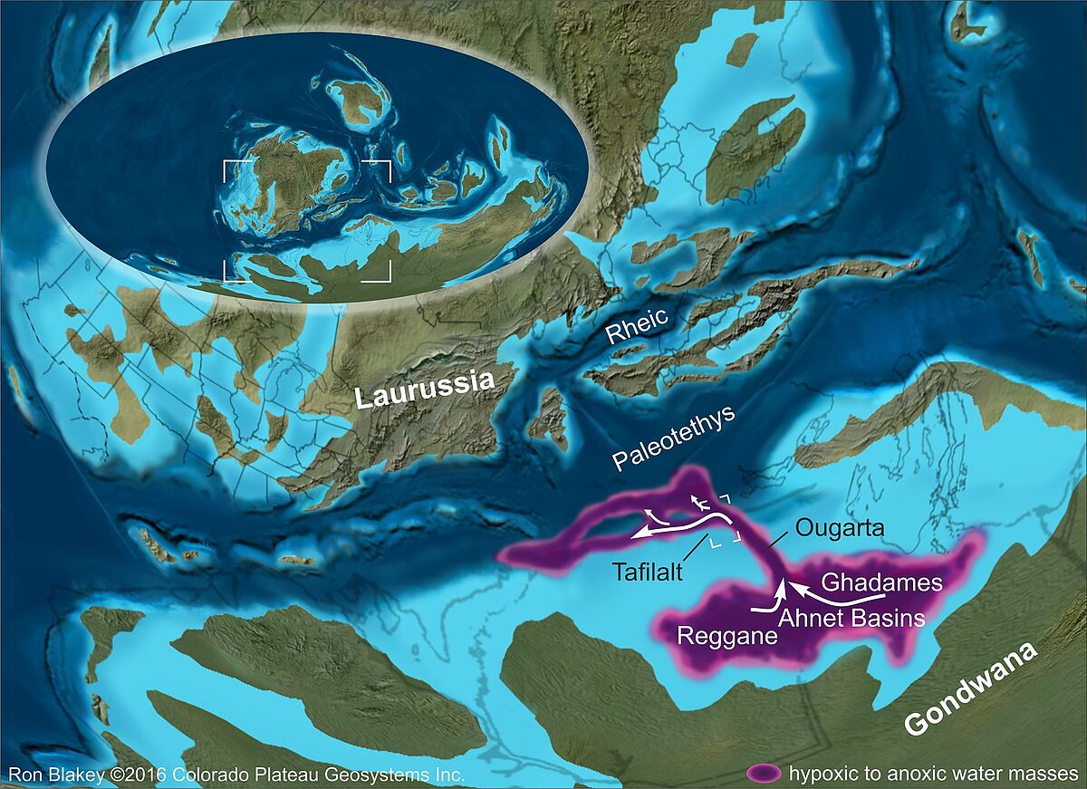Did Land Plants Cause the Devonian Mass Extinction? Deep-Sea Sediments ...